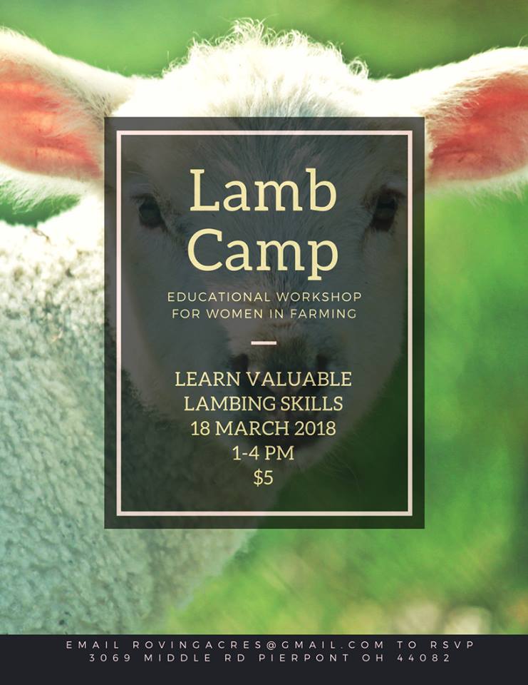 lamb camp – Roving Acres Farm